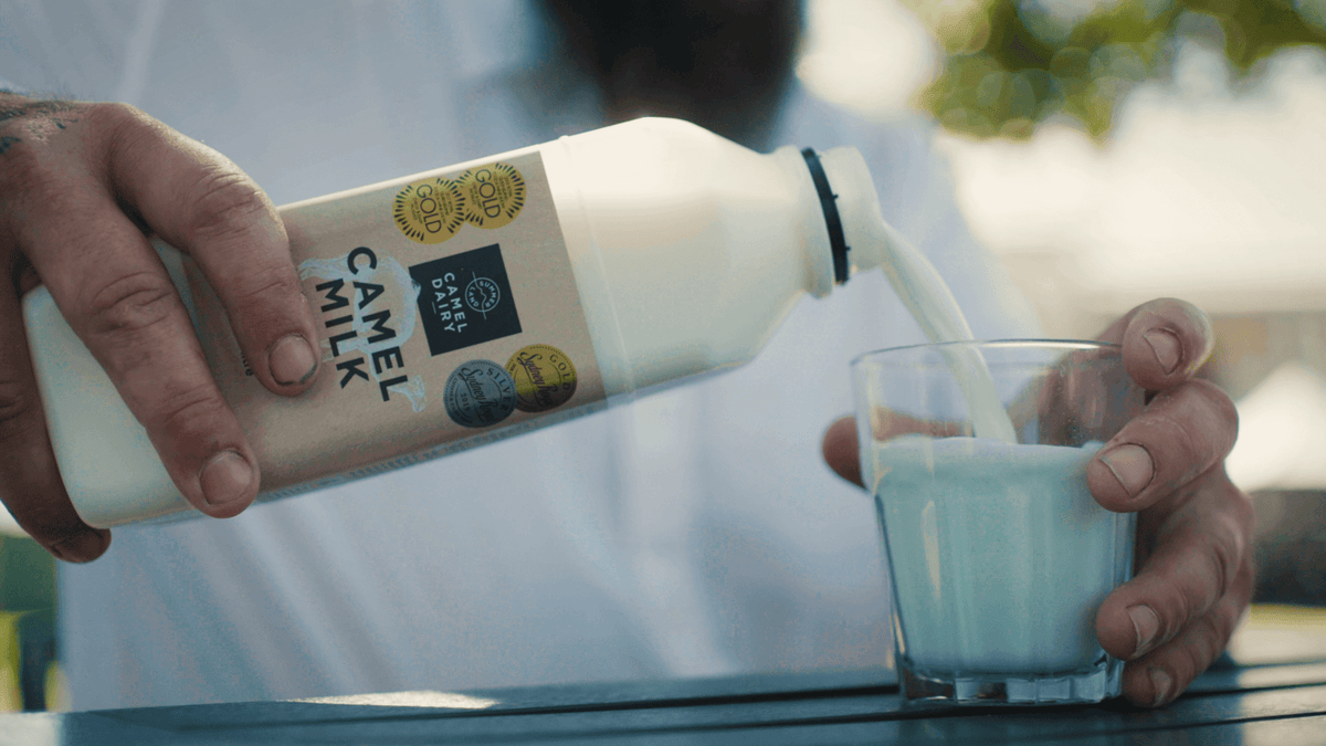 Camel Milk and Dairy Protein Allergy – Summer Land Camels