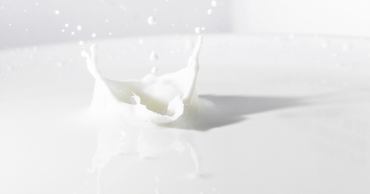 Skin and Gut Issues Halved in One Week with Camel Milk – Summer Land Camels