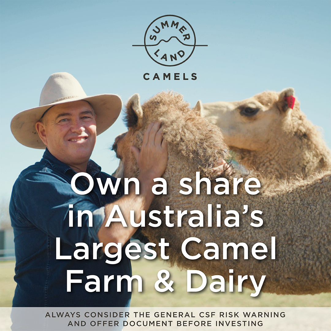 Camel Rides, Farm Tours, Camel Milk Skincare – Summer Land Camels